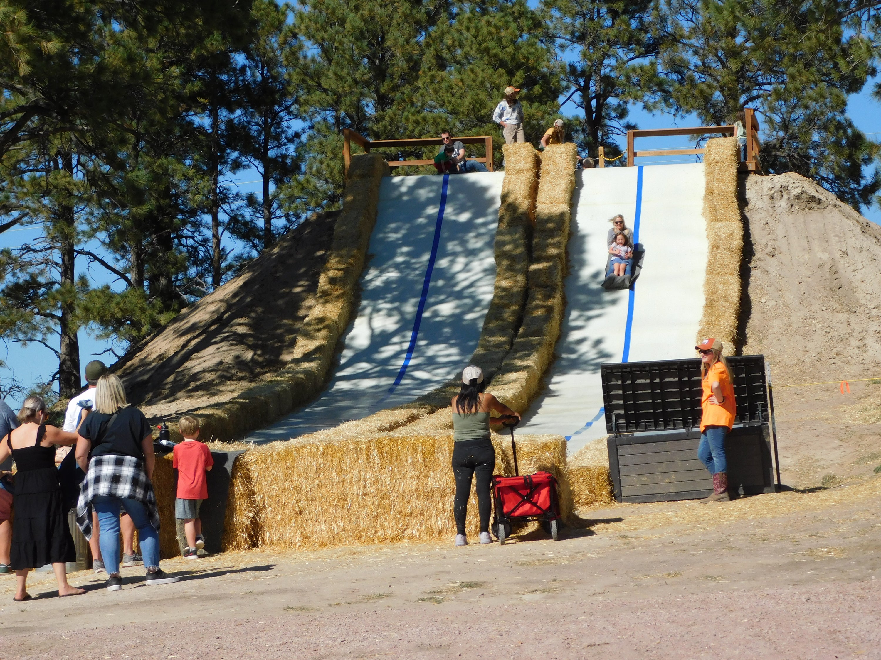 Pumpkin Patch and Corn Maze Fall Family Fun – The Patch