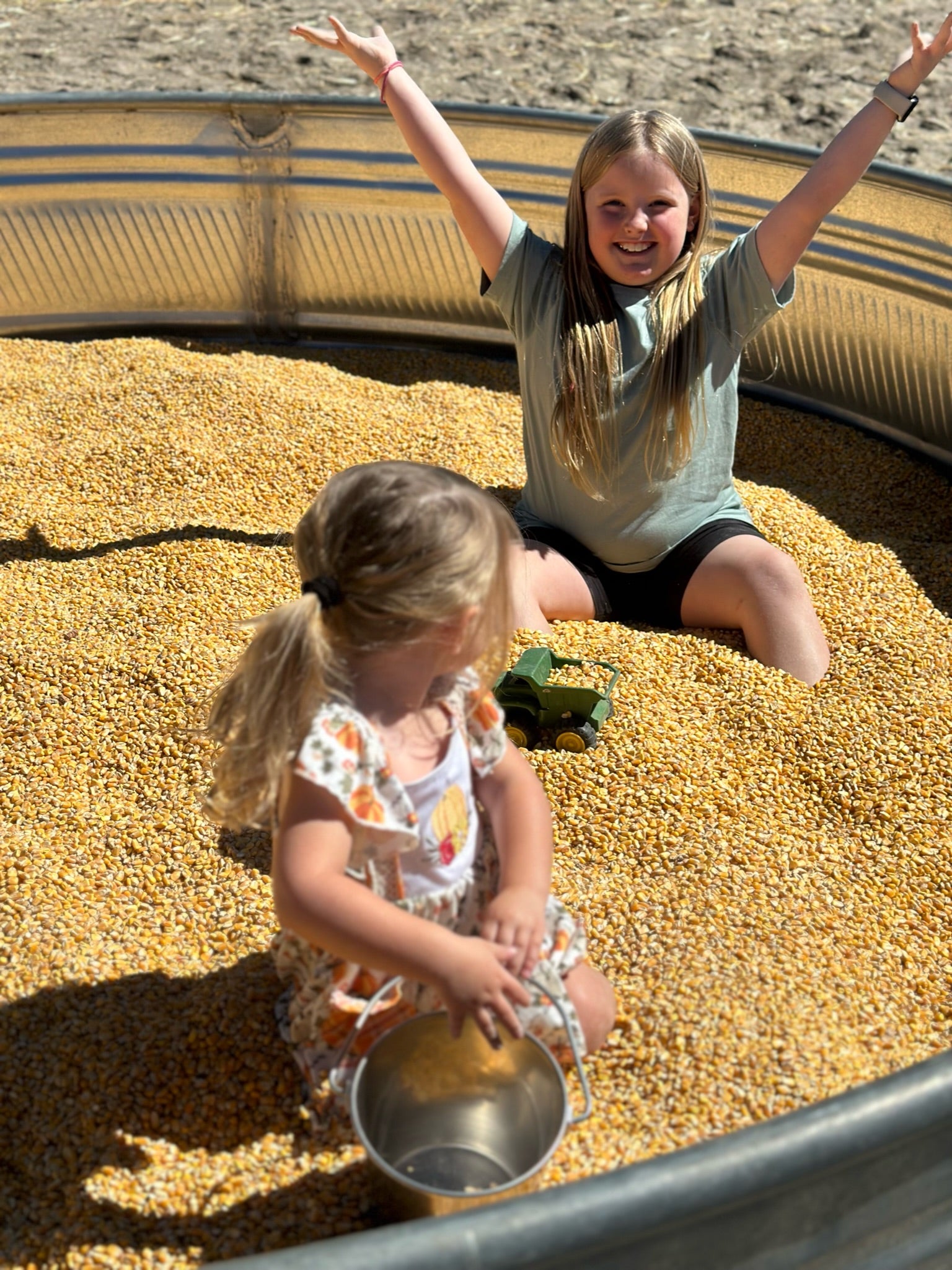 Pumpkin Patch and Corn Maze Fall Family Fun – The Patch